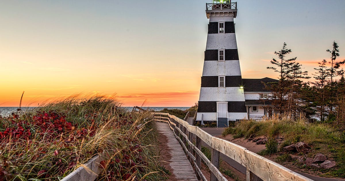 Shark sighting prompts beach closure in P.E.I. - RisePEI.News