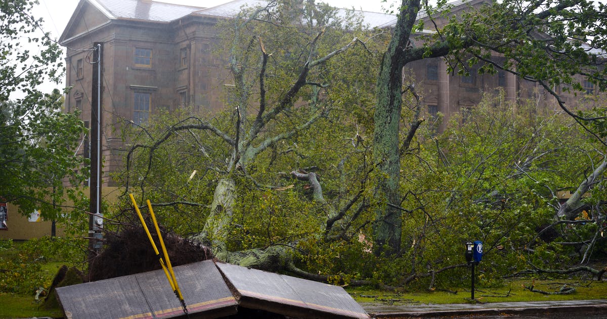 IN PICTURES: Aftermath of post-tropical storm Fiona in P.E.I. - RisePEI ...